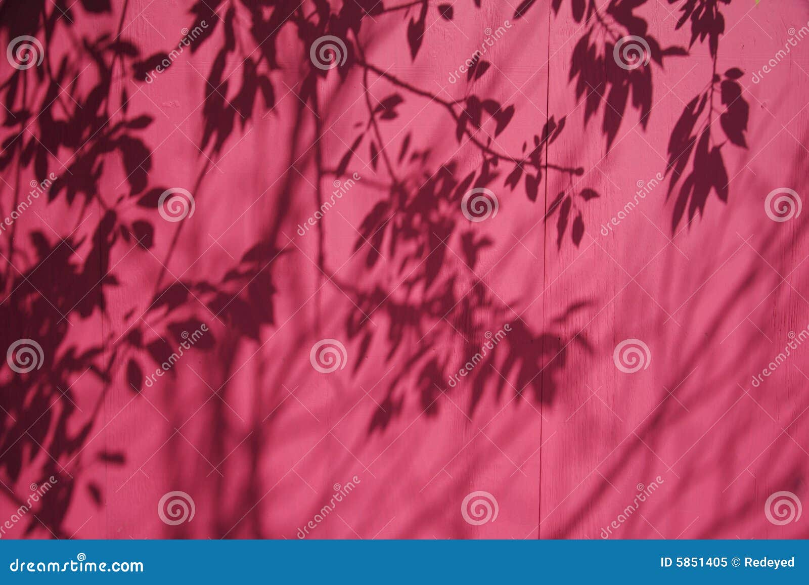 Shadow of Branches on a Pink B Stock Image - Image of board, boards ...