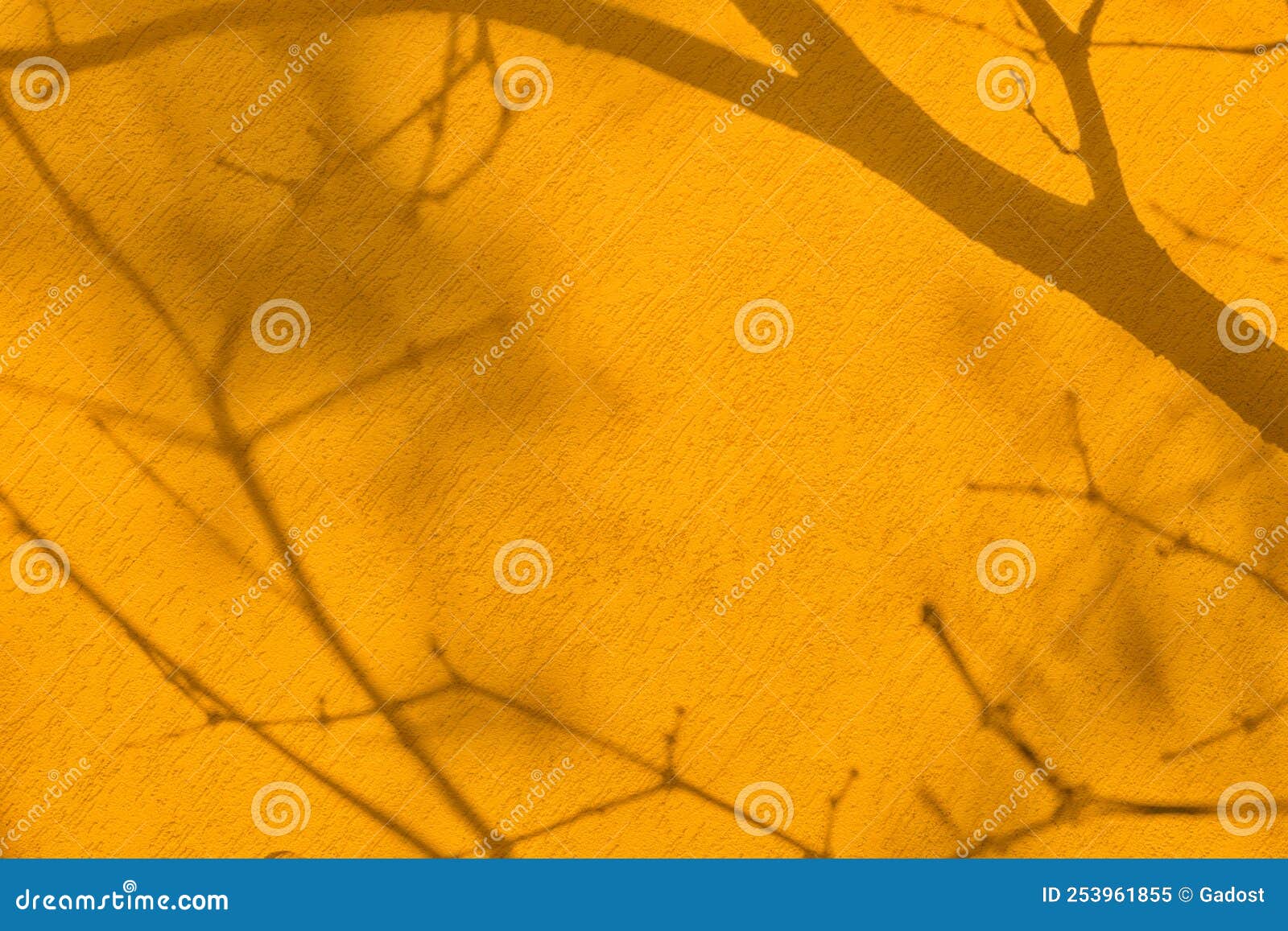 Shadow of Branches on Saturated Yellow Concrete Wall Texture Background ...