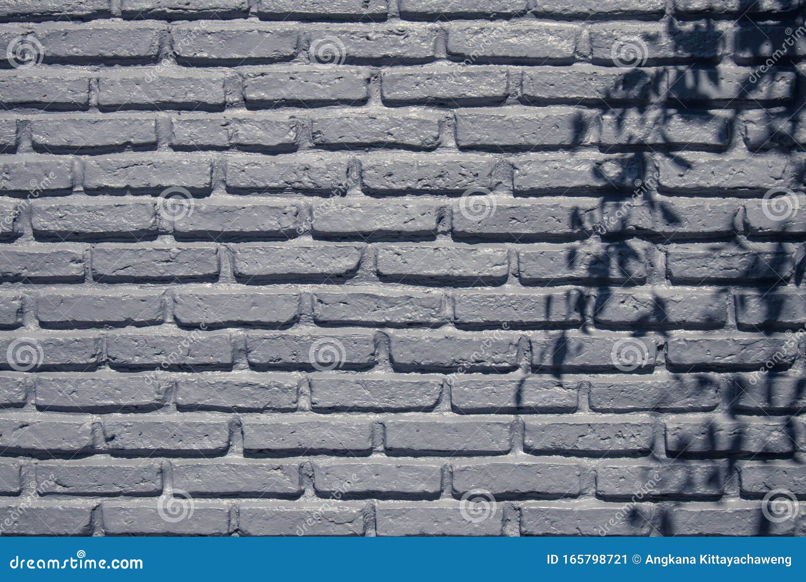 Shadow of Branches Tree Shaded on Rustic Gray Brick Wall. Stock Image ...
