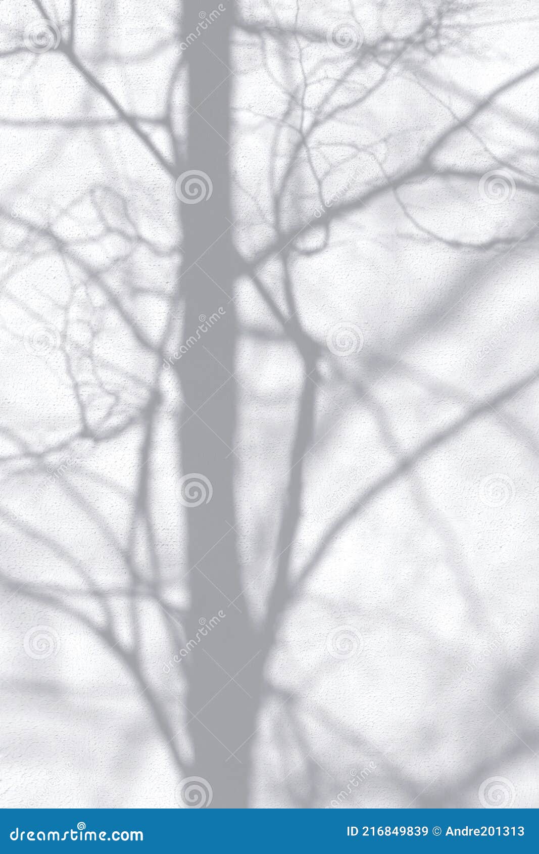 Shadow from Branches and Tree Trunks on a Plastered Wall Stock Image ...