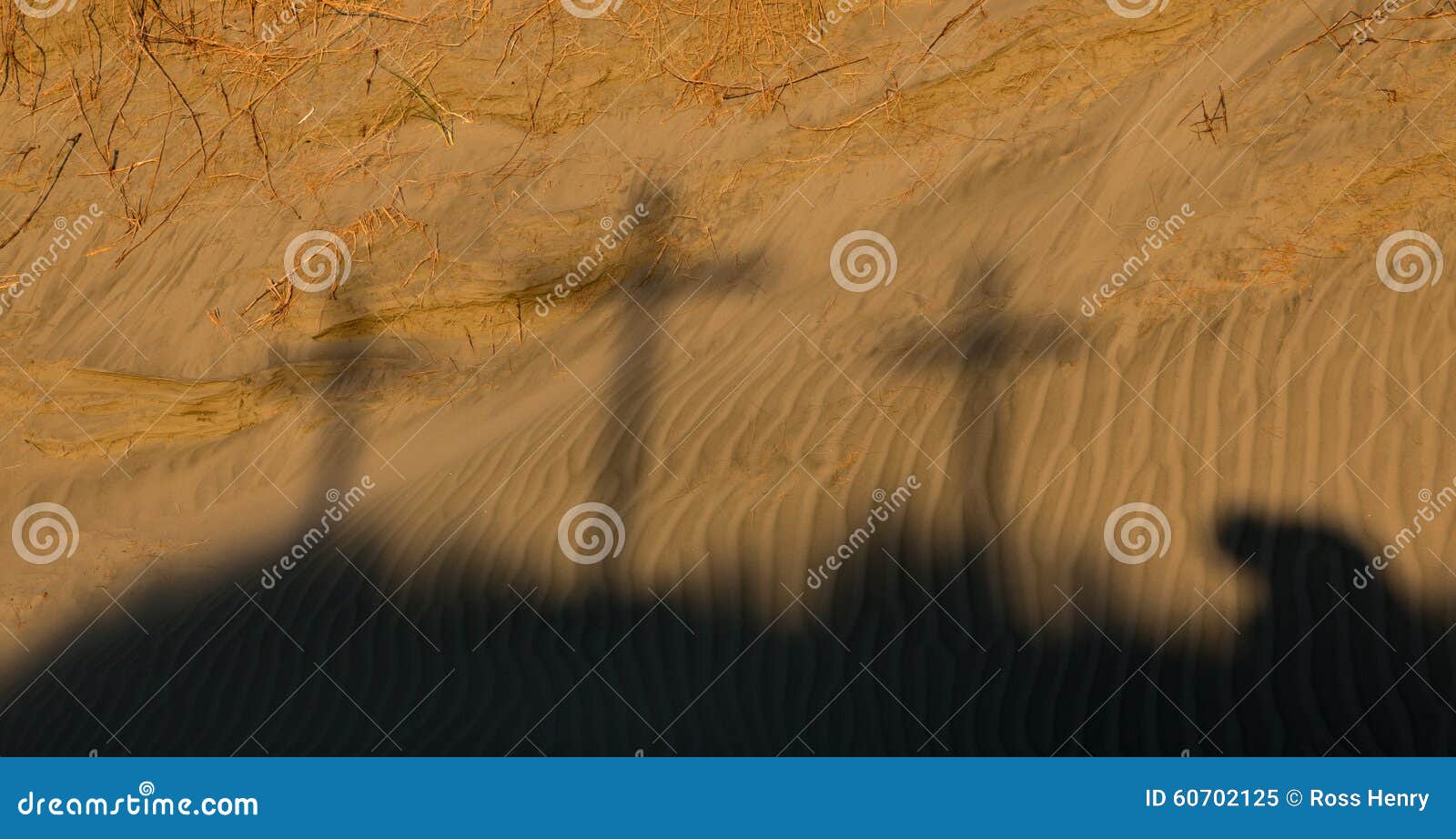 Shadow of Calvary stock image. Image of cross, jesus - 60702125