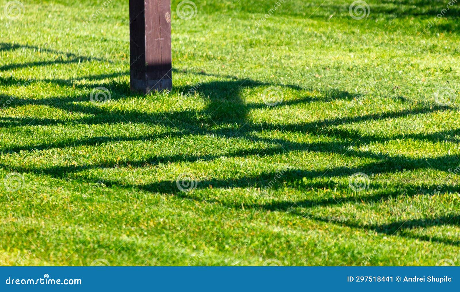The Shadow of the Canopy on the Green Lawn As a Background Stock Image - Image of field ...