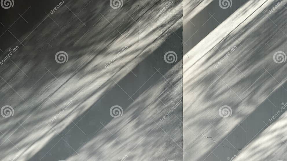 The Shadow of a Canopy on the Wall. the Shadow Looks Clear and Has an ...