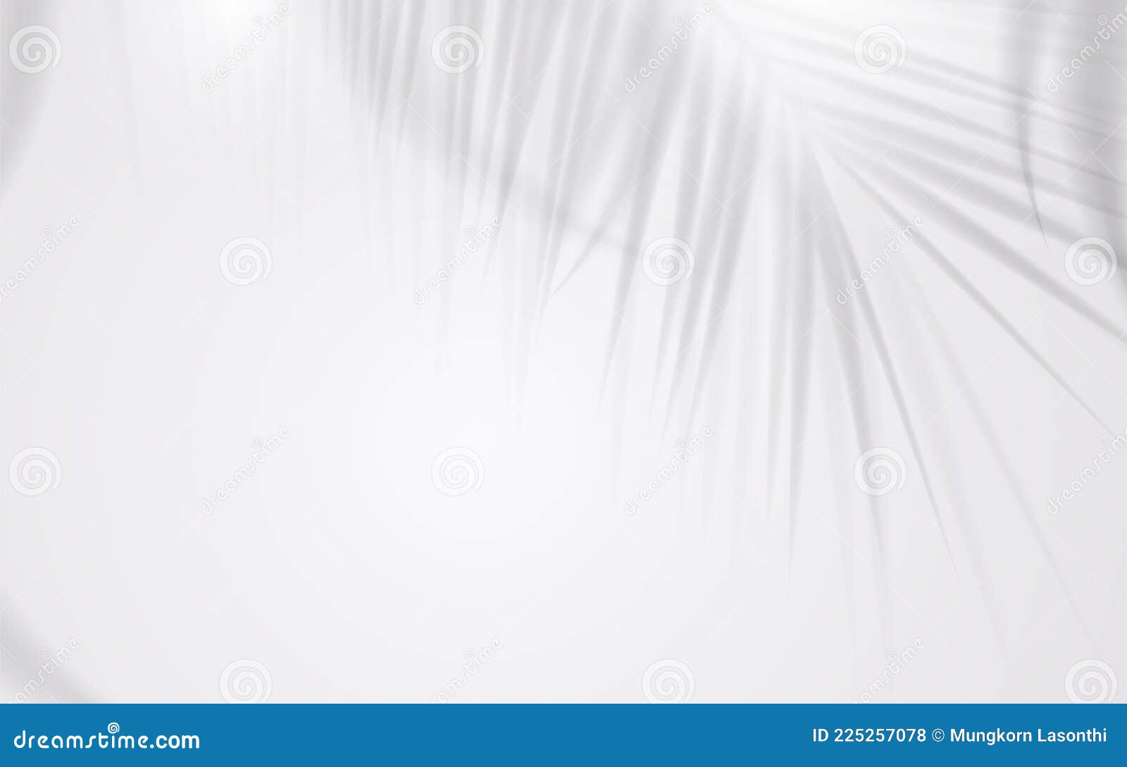 Coconut Leaf Vector Illustration | CartoonDealer.com #28722098 Coconut Leaf Vector Illustration | CartoonDealer.com #28722098