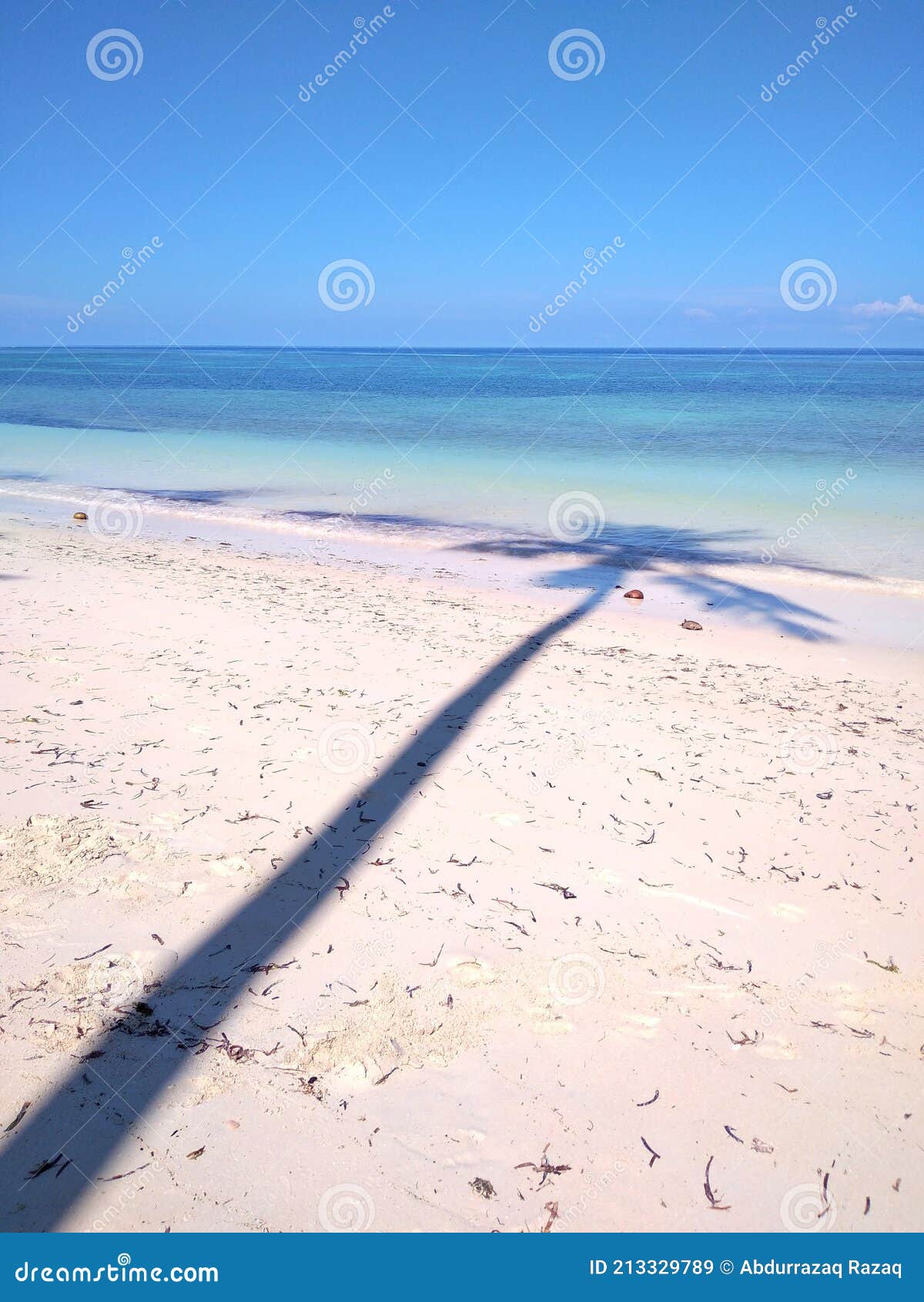 Shadow of Coconut Tree on Beach Stock Image - Image of oceanic, tree ...