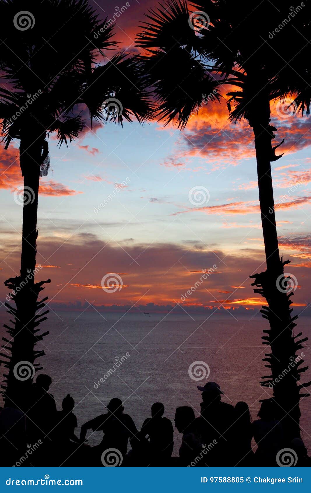 Shadow Coconut Tree and People Stock Image - Image of travel, summer ...