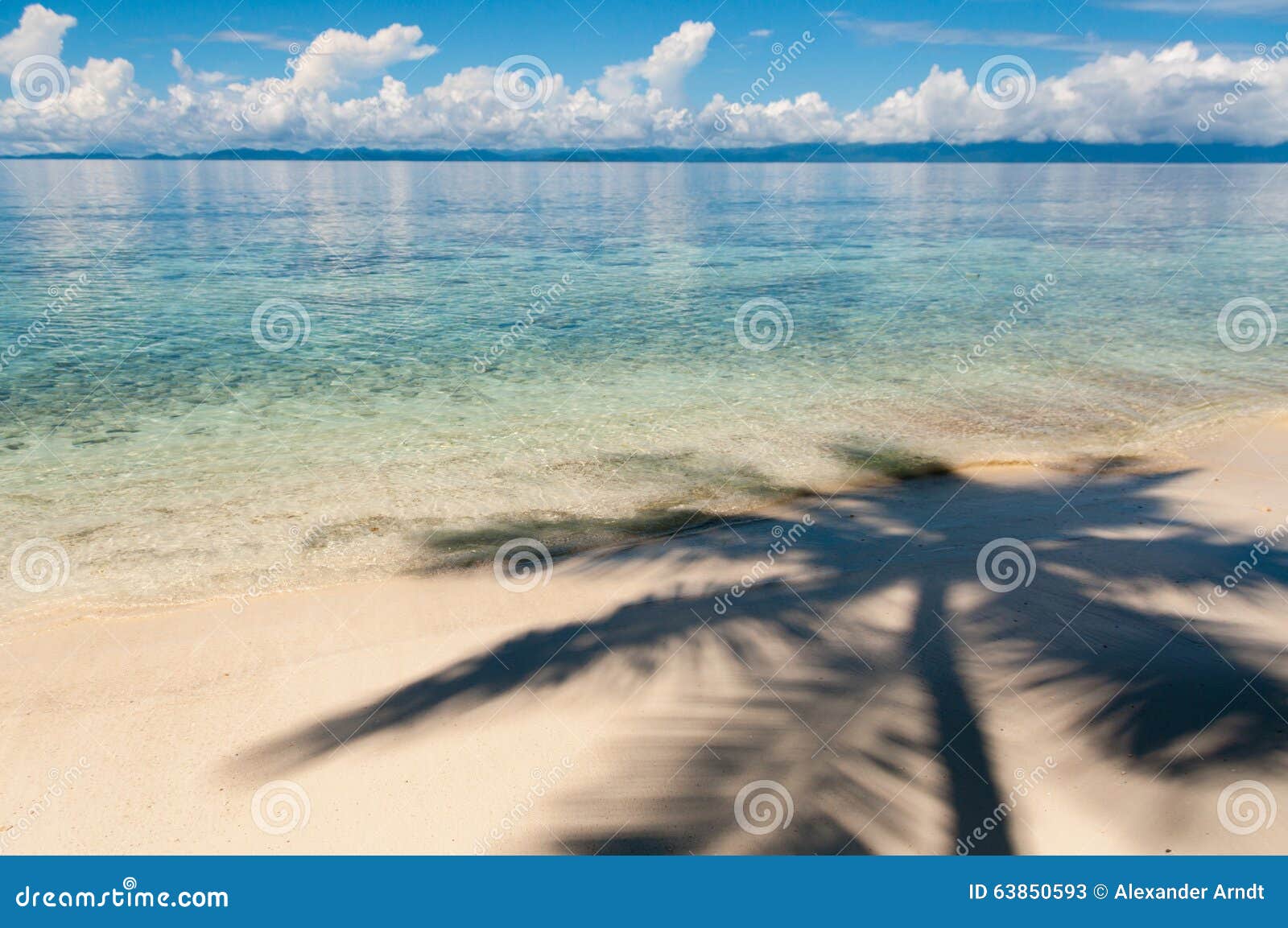 Shadow of a Coconut Tree on Sand Beach in Front Stock Image - Image of ...