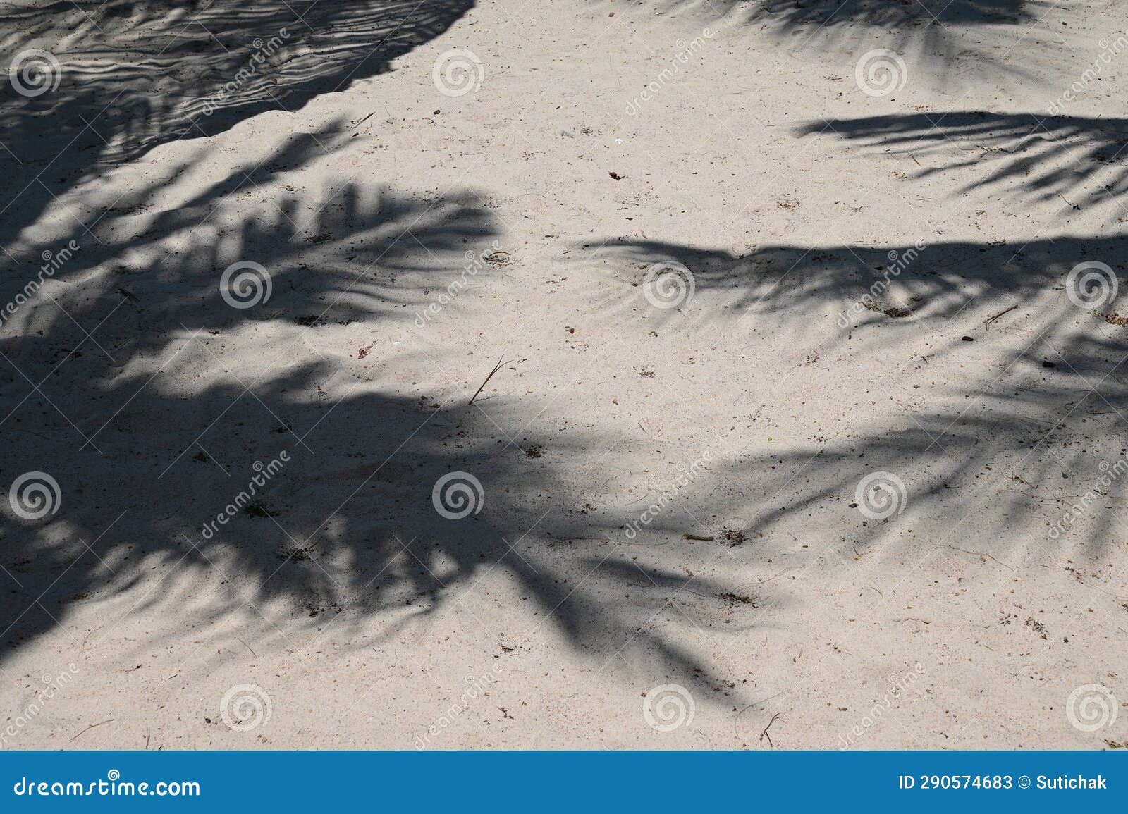 The Sand Floor With The Shadow Of The Sun On Top With The Footprints Of ...