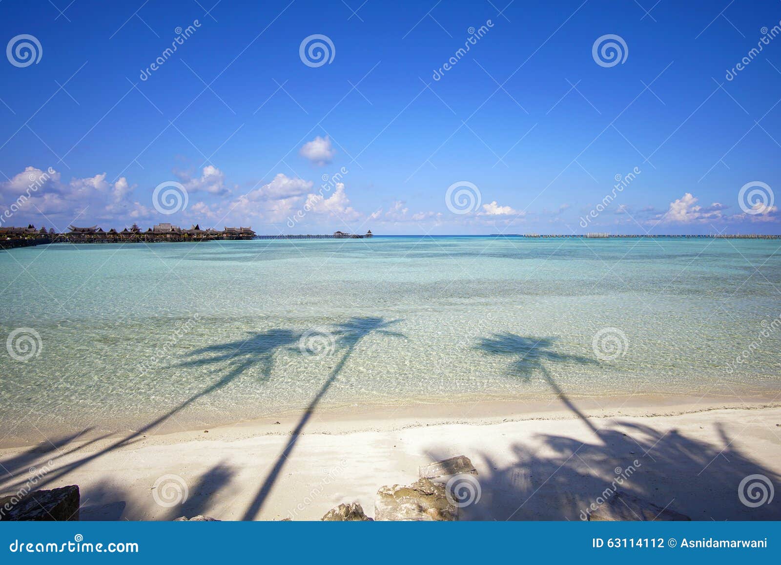 Shadow of Coconut Trees in a Beach. Stock Photo - Image of scenery ...