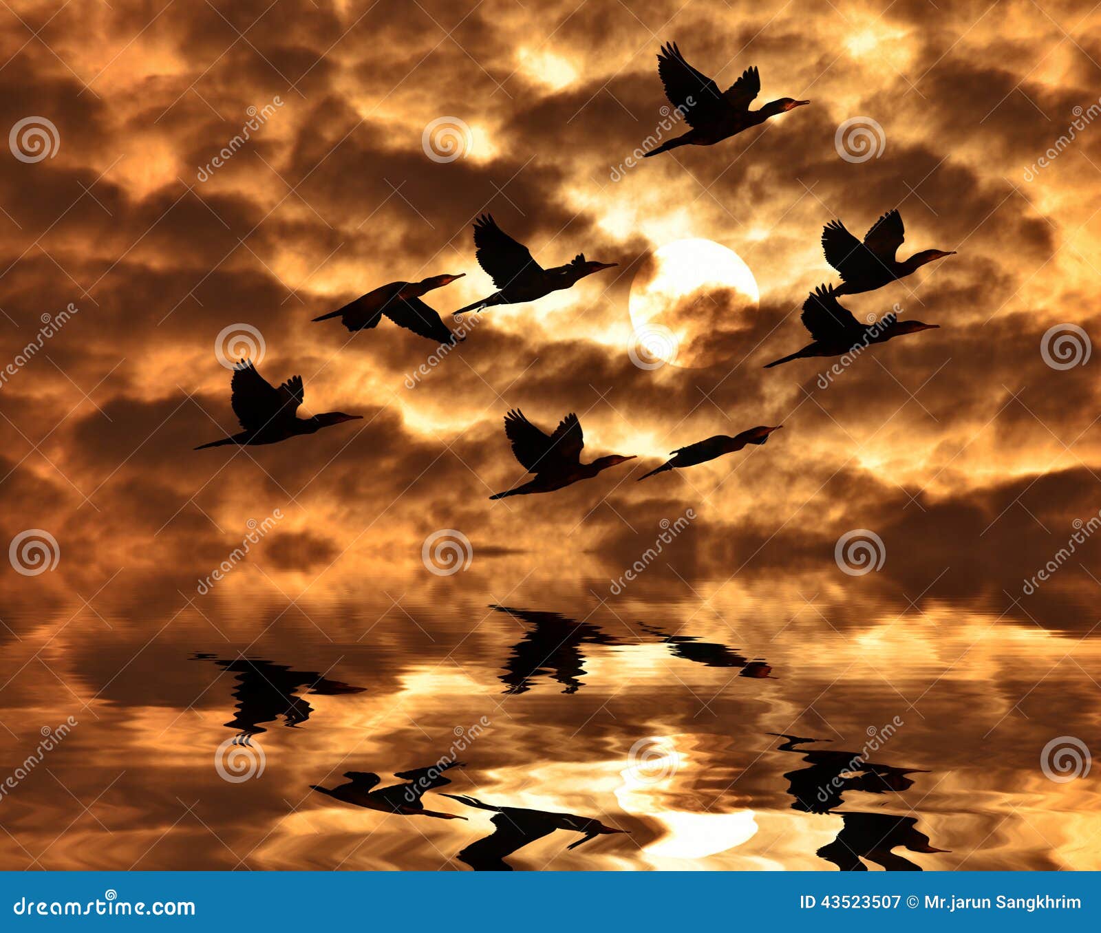 Sunrise Shadow Stock Illustrations – 7,777 Sunrise Shadow Stock ...