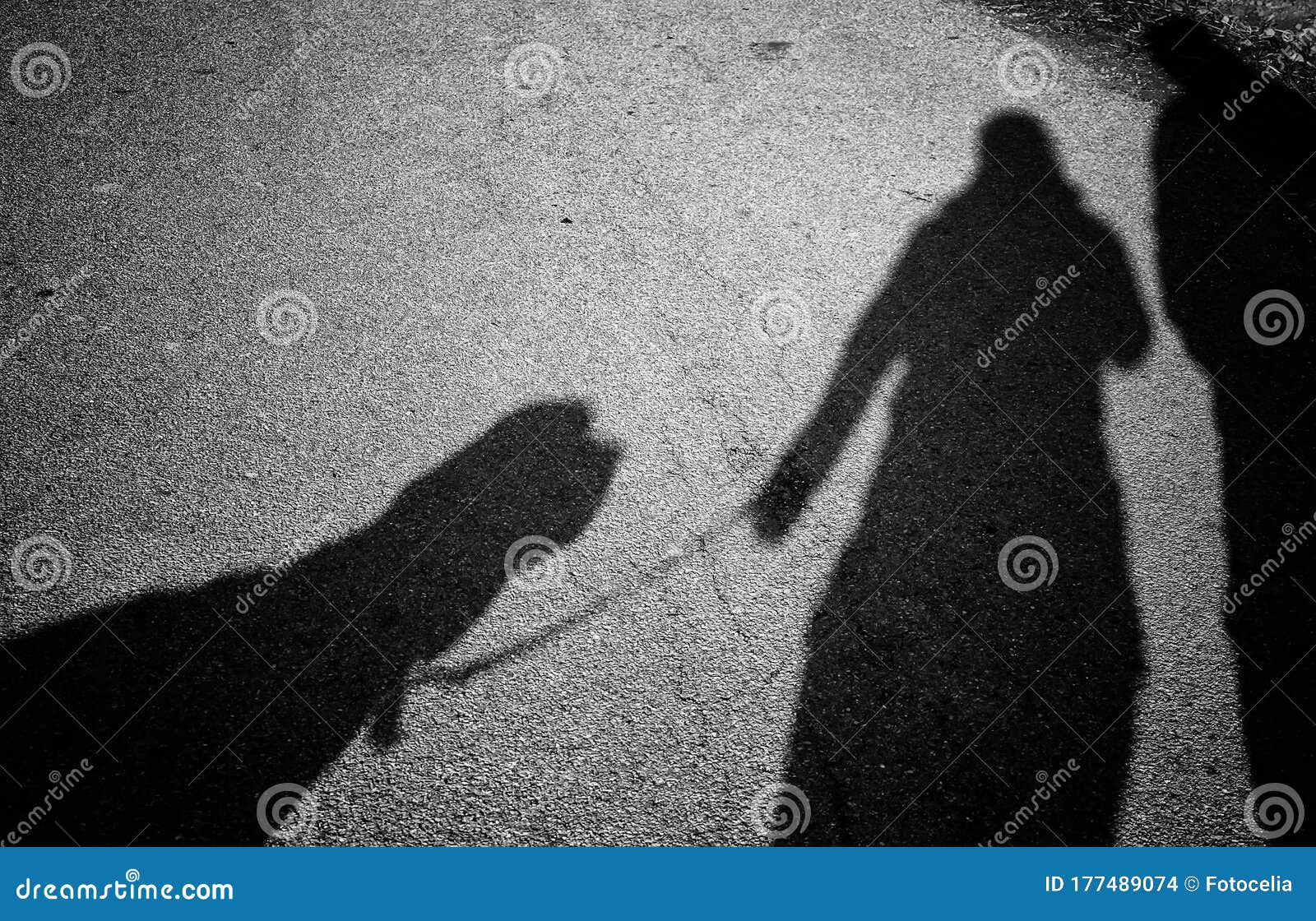 Shadow couple and dog stock photo. Image of model, happy - 177489074