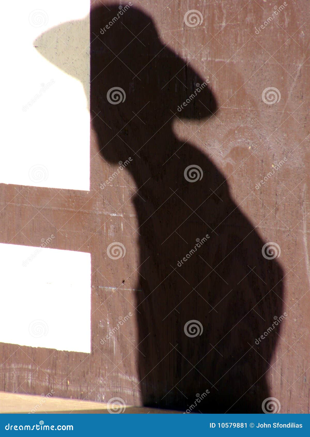 Shadow Cowboy stock image. Image of cowboy, plywood, projected - 10579881
