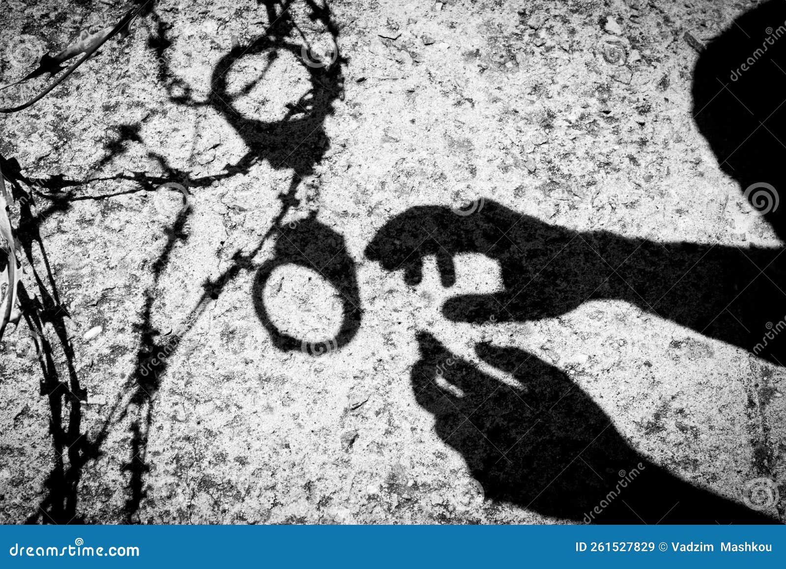 Shadow Of A Man In Handcuffs On A Police Car. Royalty-Free Stock Image ...