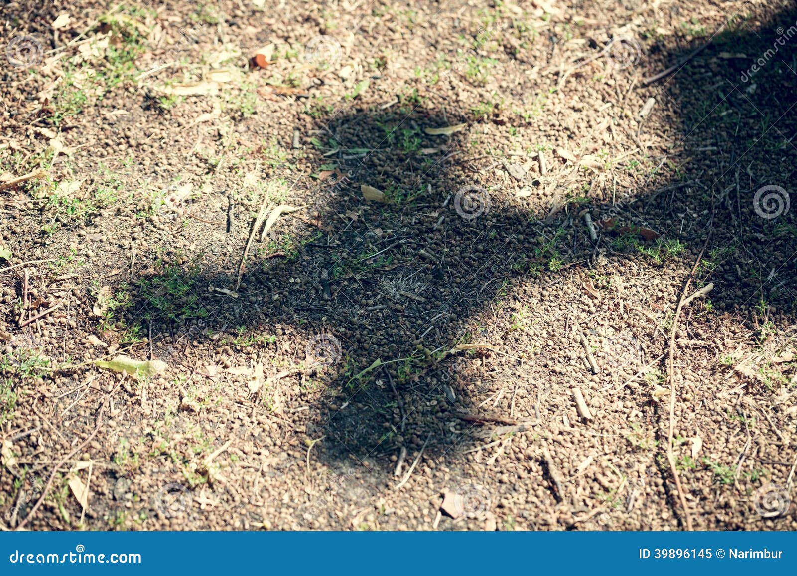 Shadow of a cross stock image. Image of concepts, white - 39896145