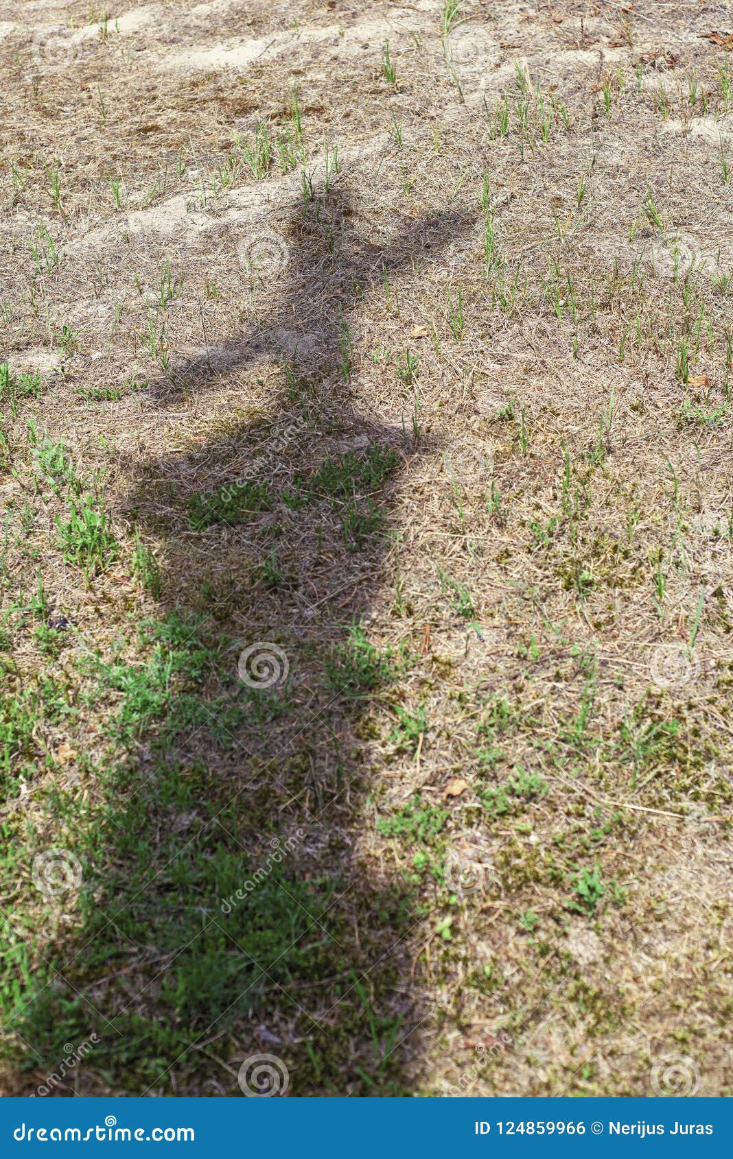 Shadow Of Cross And Section Of Gravestones At Fromelles War Cemetery In ...
