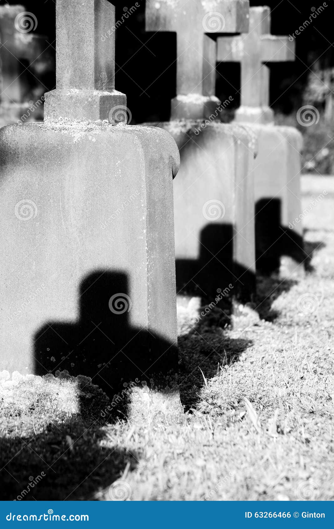 Shadow crosses stock photo. Image of meadow, shadow, algae - 63266466