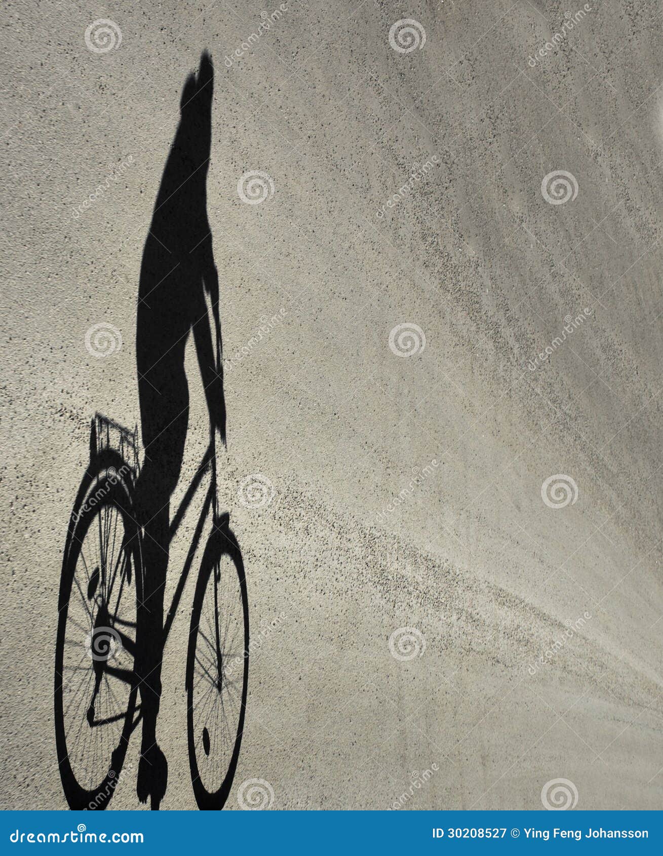 Shadow Of A Cyclist Training At A Velodrome. Preparation For ...