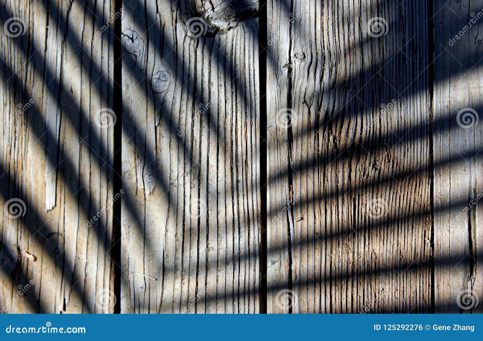 Shadows of date palm leaf stock photo. Image of sunlight - 125292276