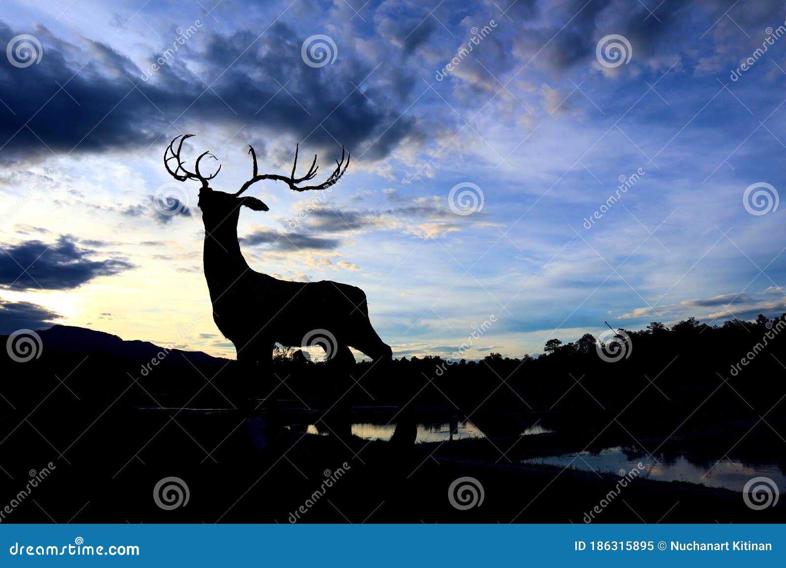 The shadow of a deer. stock image. Image of skies, wildlife - 186315895