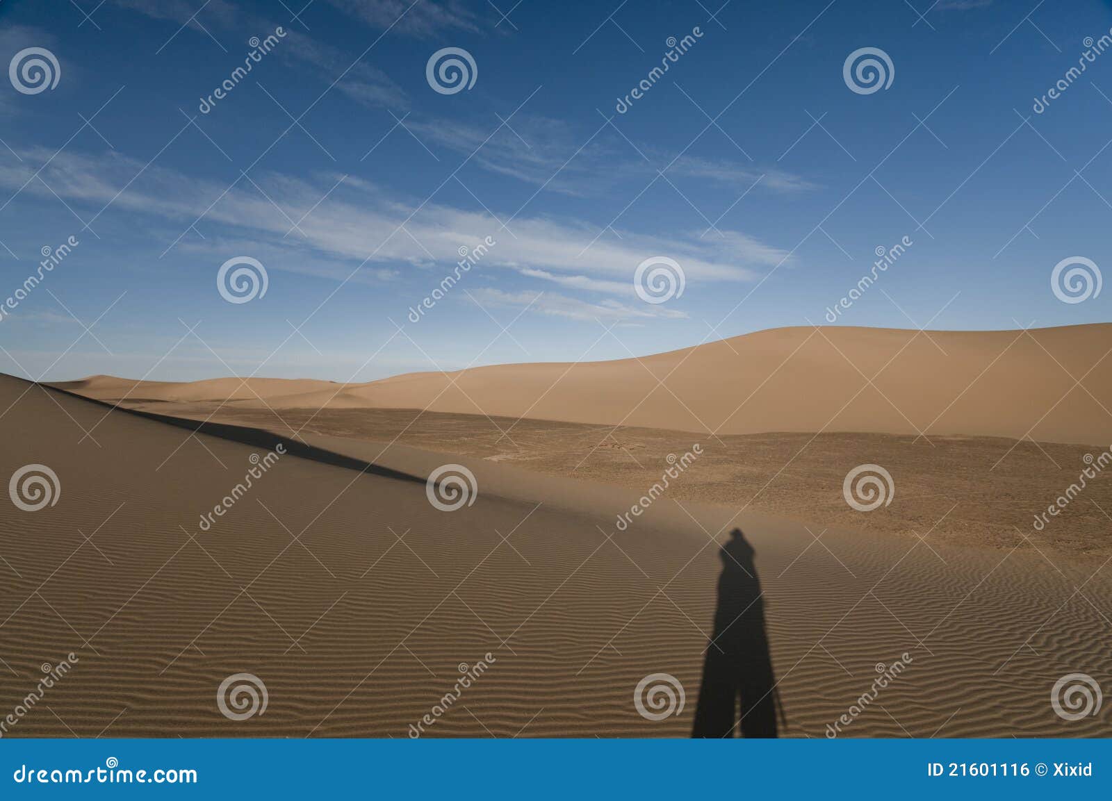 Shadow in the desert stock photo. Image of vacation, hotel - 21601116