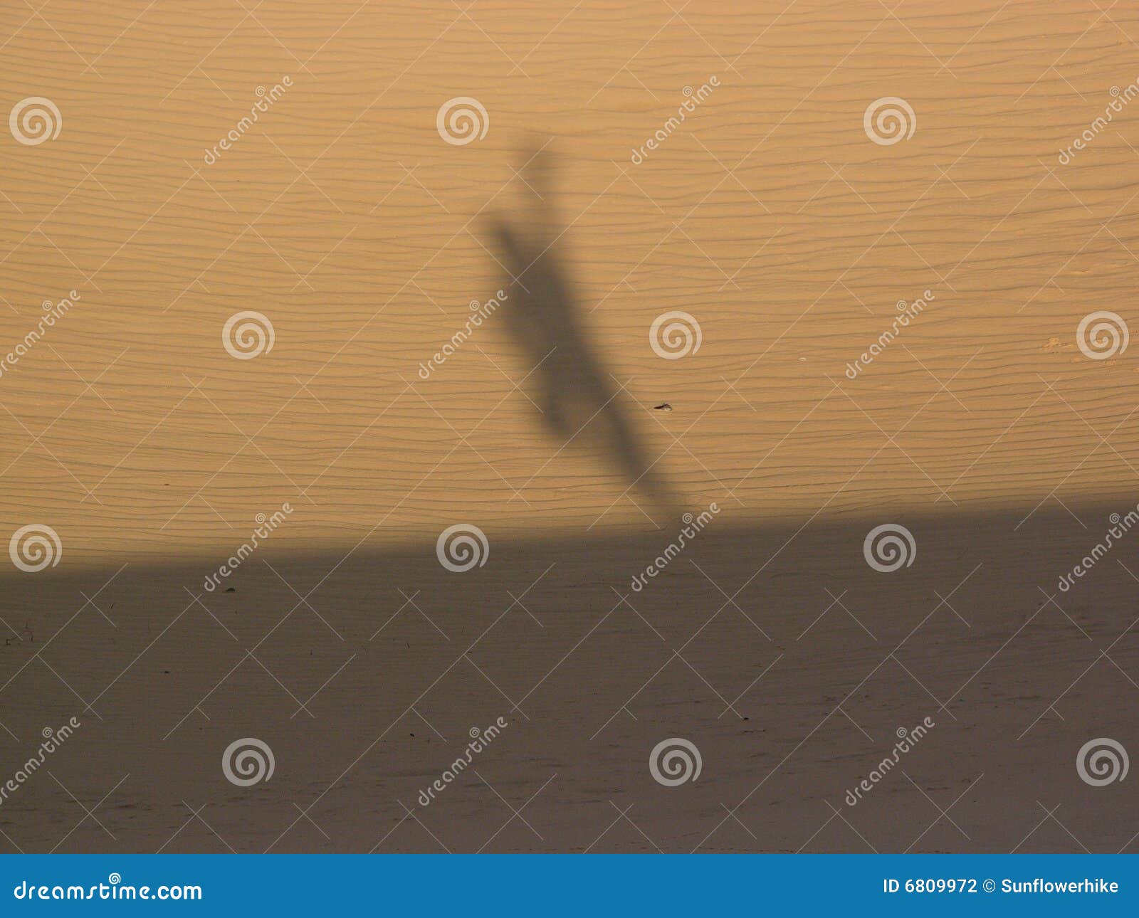 Shadow on desert stock photo. Image of outdoors, nature - 6809972