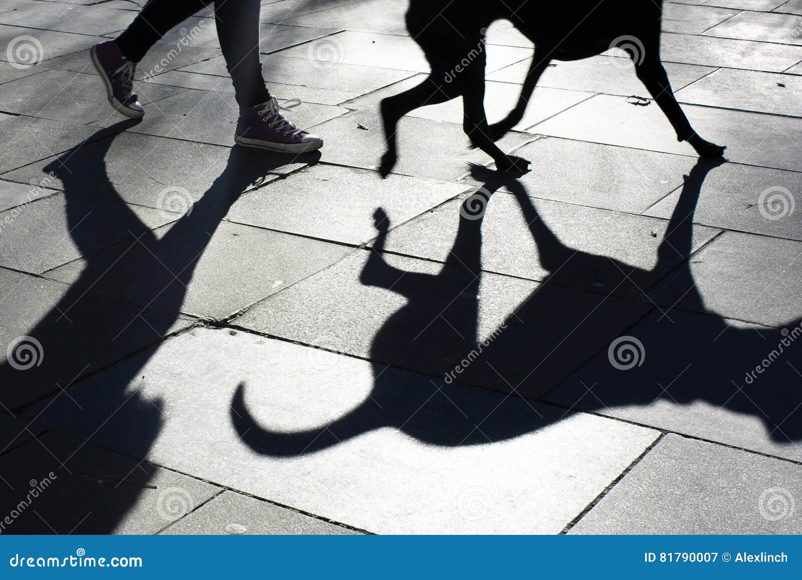 Shadow of a Dog and Its Owner Taking a Walk Stock Image - Image of ...
