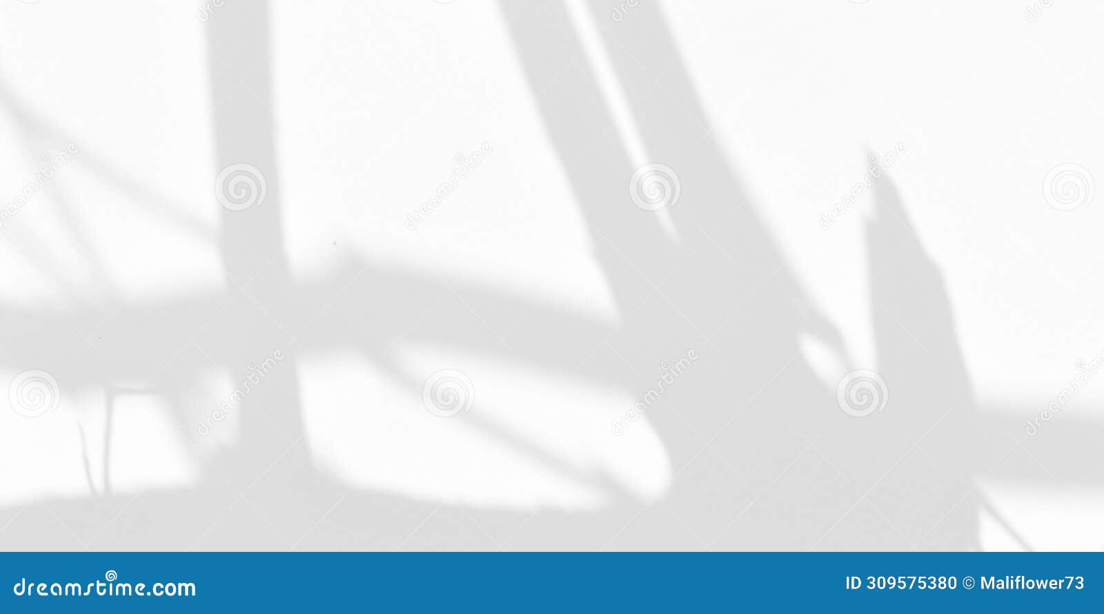 Shadow of Dried Twig Tree Overlay Effect Sunlight on White Wall. Stock ...