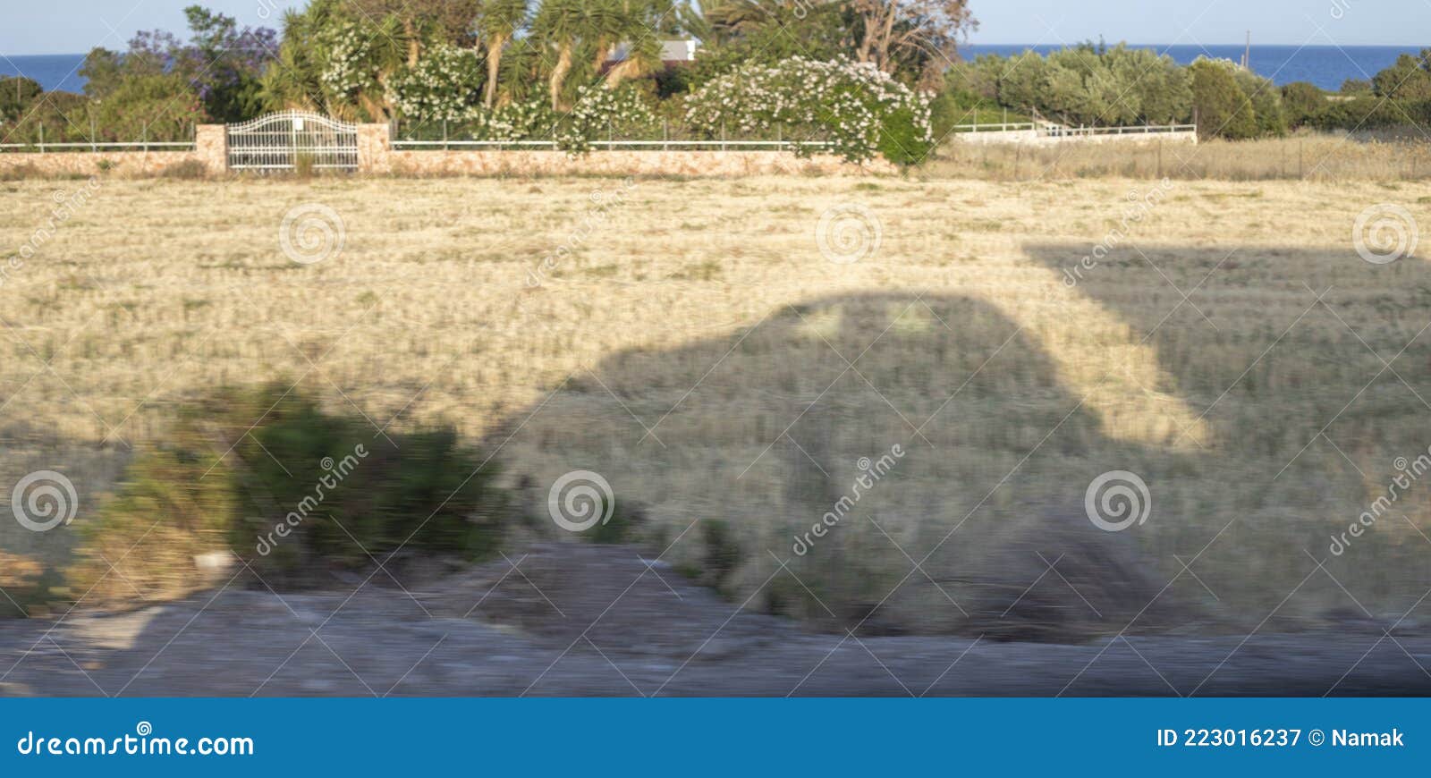 Shadow from a Driving Car on a Field with Wheat Abstraction, Horizontal ...