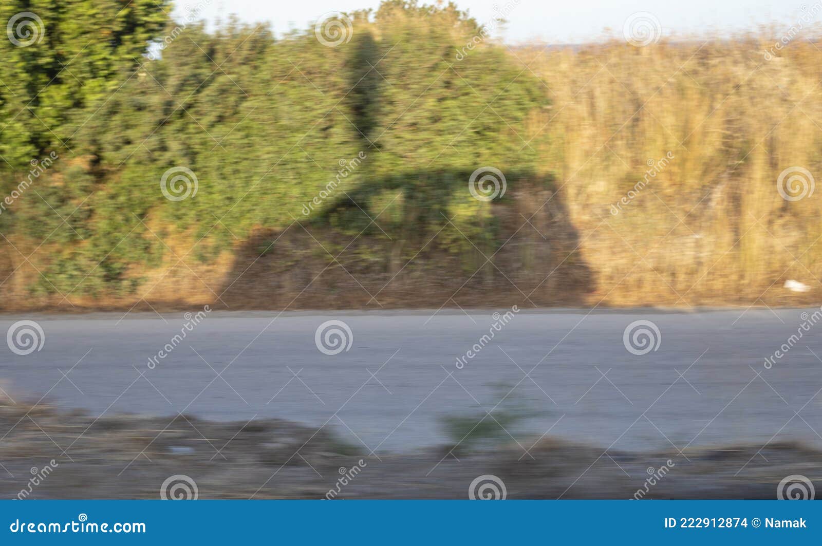 Shadow from a Driving Car on the Trees Abstraction, Horizontal Stock ...