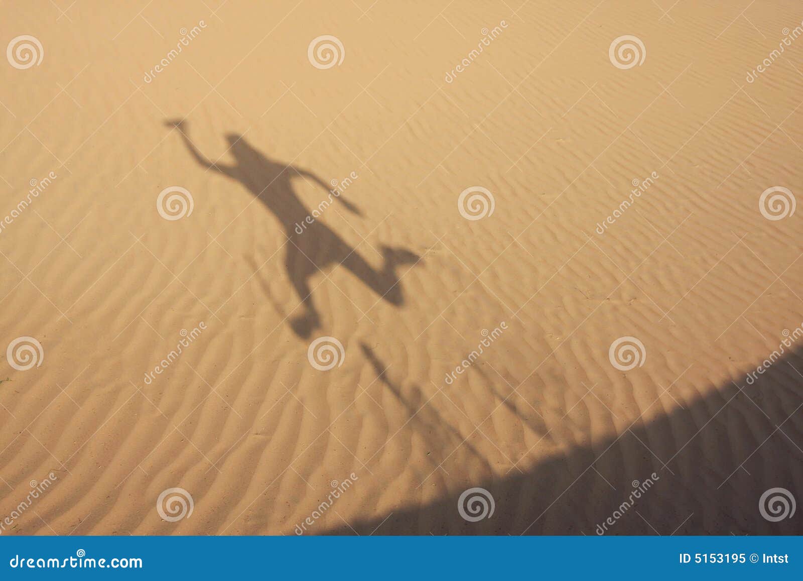 Shadow in Dunes with Jumping Man Stock Image - Image of sand, playful ...