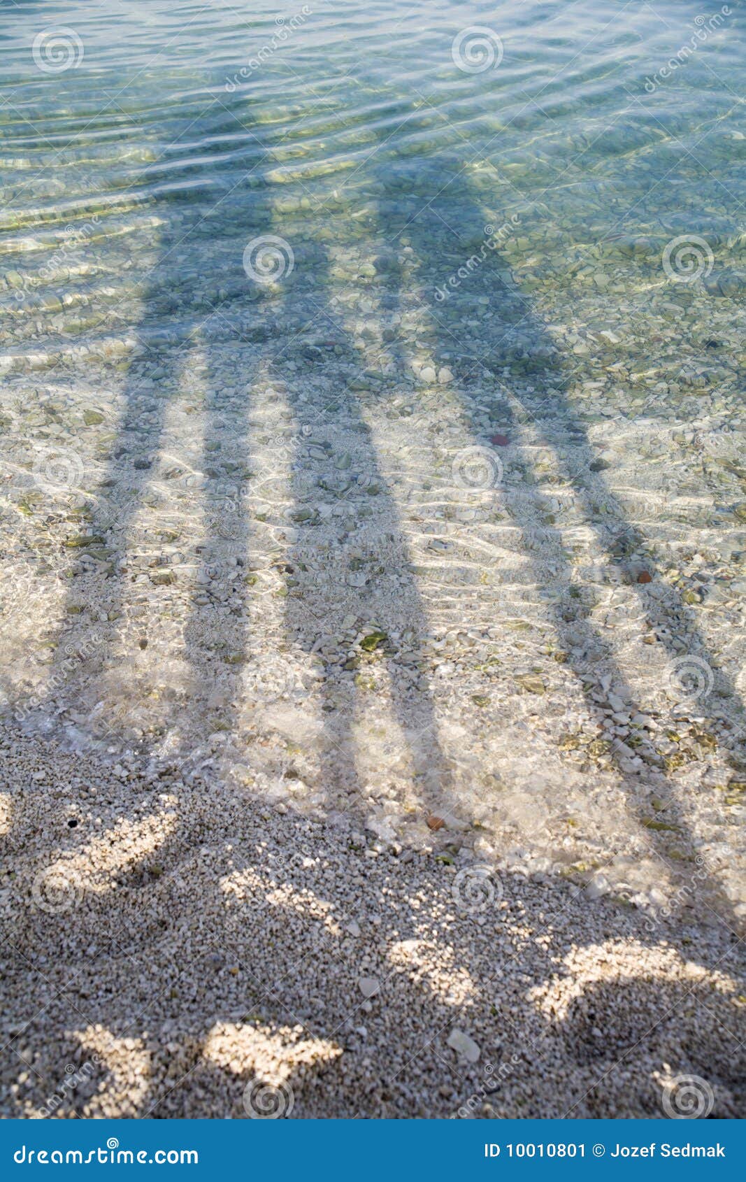 Shadow of Family on the Beach Stock Image - Image of sunset, bathing ...