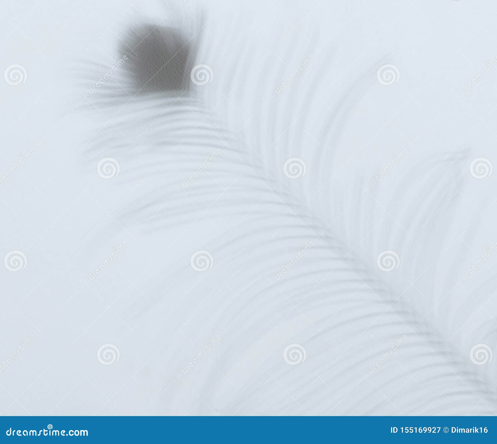 Shadow of feather peacock stock image. Image of shades - 155169927