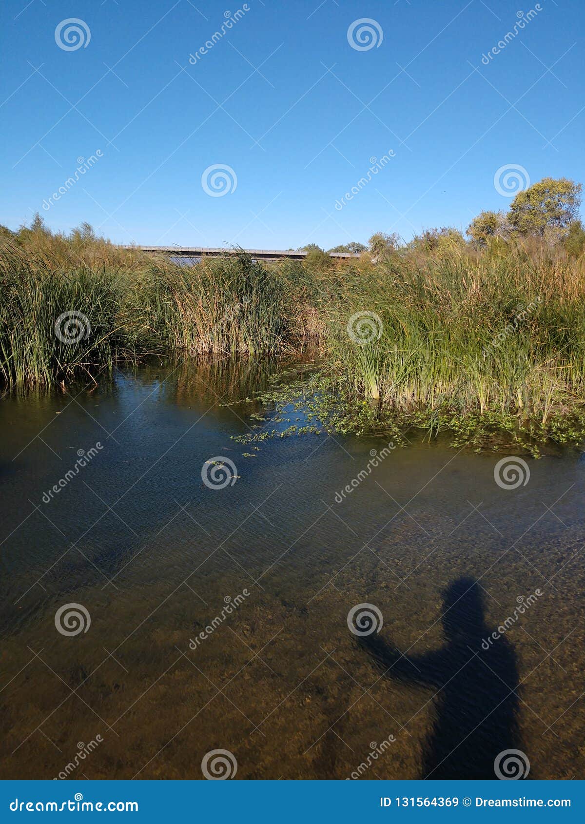 Shadow fisherman stock image. Image of river, fishing - 131564369