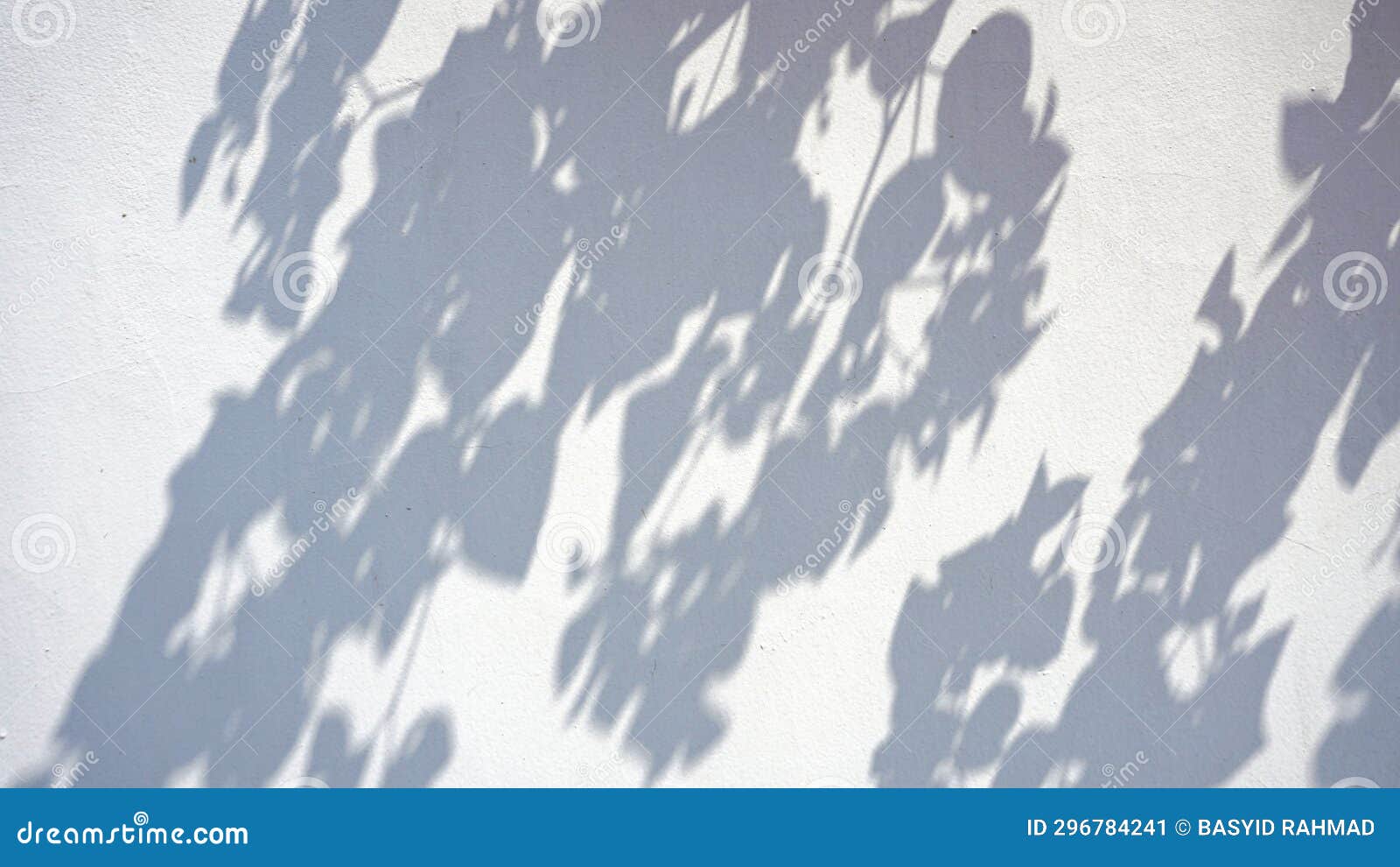 Shadow of Flowers on the Wall for General Invitation Background Stock ...