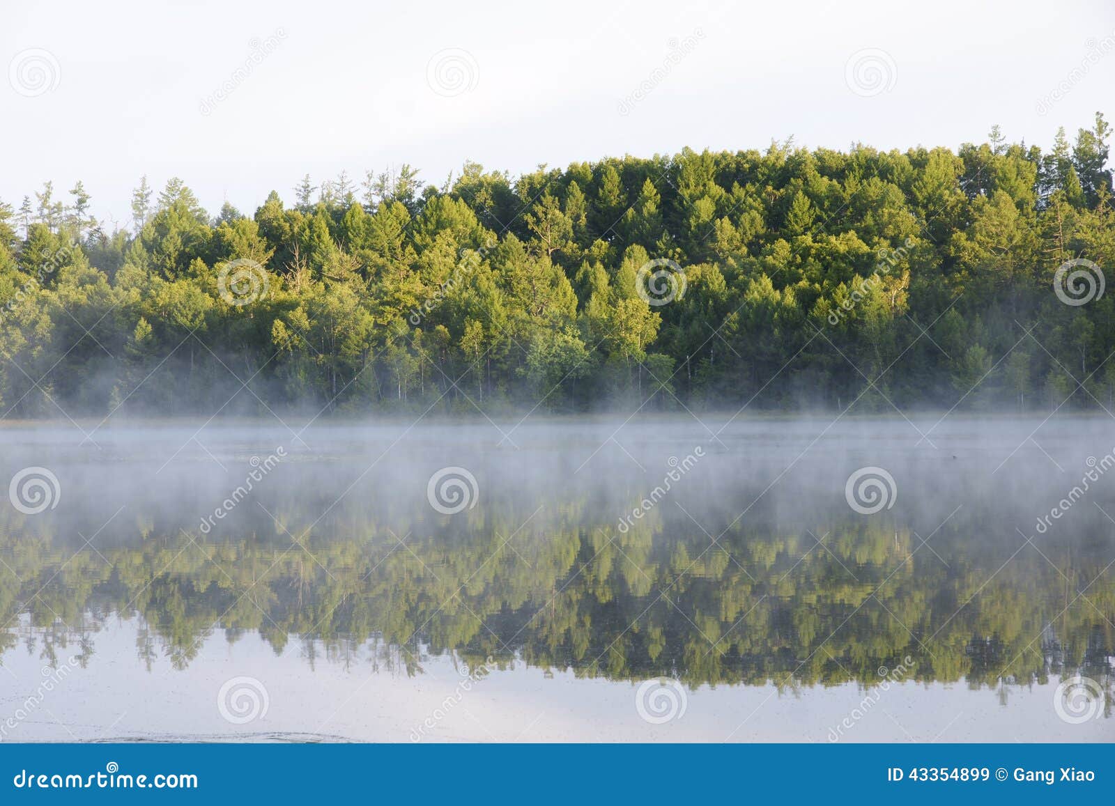 Shadow and fog stock image. Image of asia, tree, skypool - 43354899