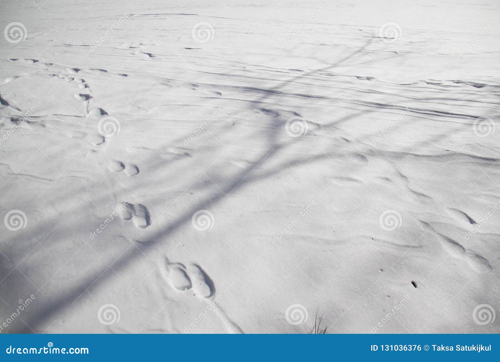 Shadow and Footsteps on Snow in Winter Stock Photo - Image of pattern ...