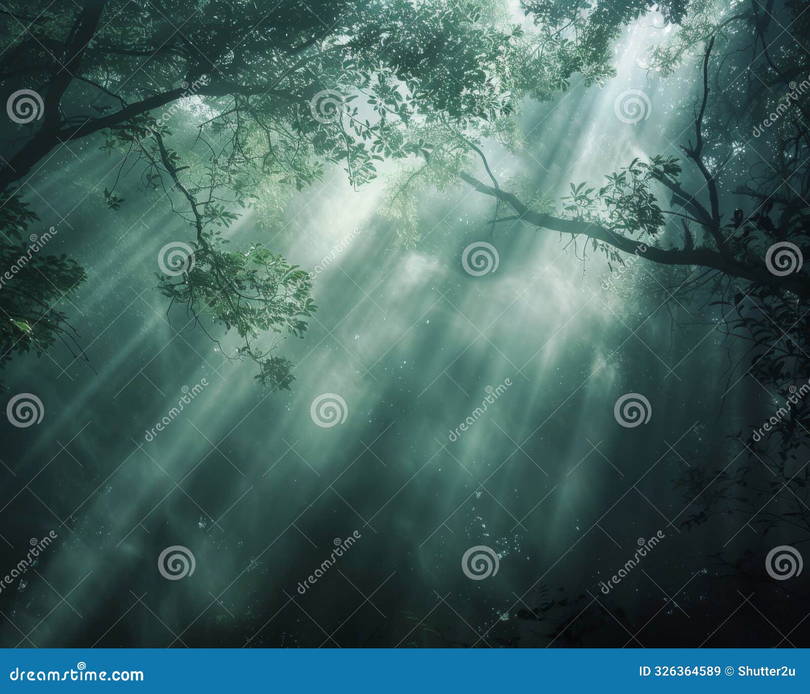 Shadow Forests Pierced by Light Beams Ethereal Rays Filtering through ...