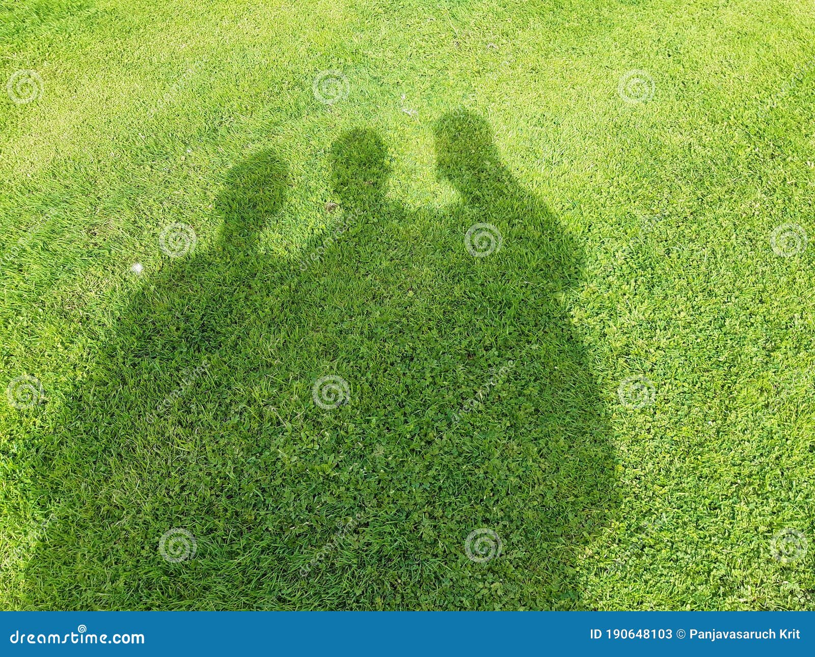 Shadow with the friends stock image. Image of shadow - 190648103