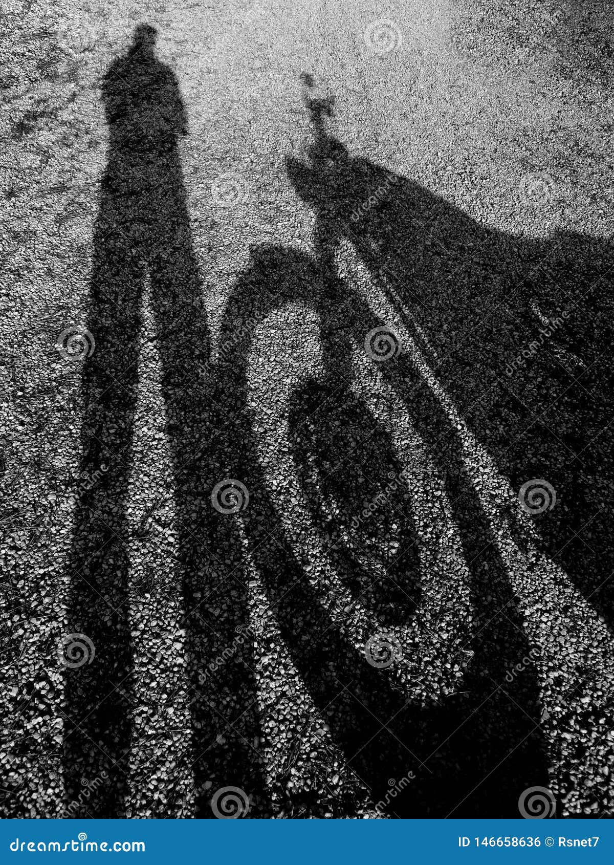 Shadow of a Motorcycle with Driver Stock Photo - Image of black, male ...