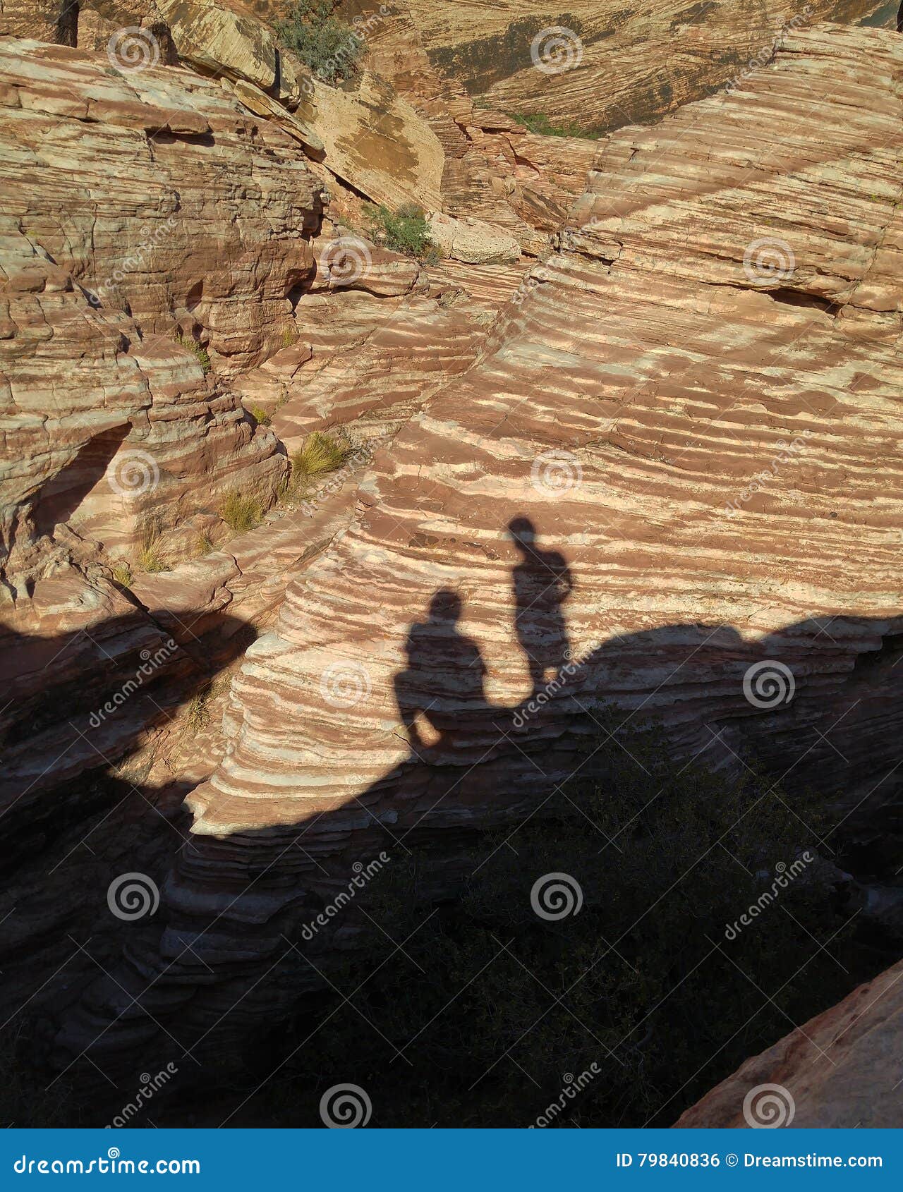 Shadow fun stock photo. Image of siblings, shadows, cool - 79840836