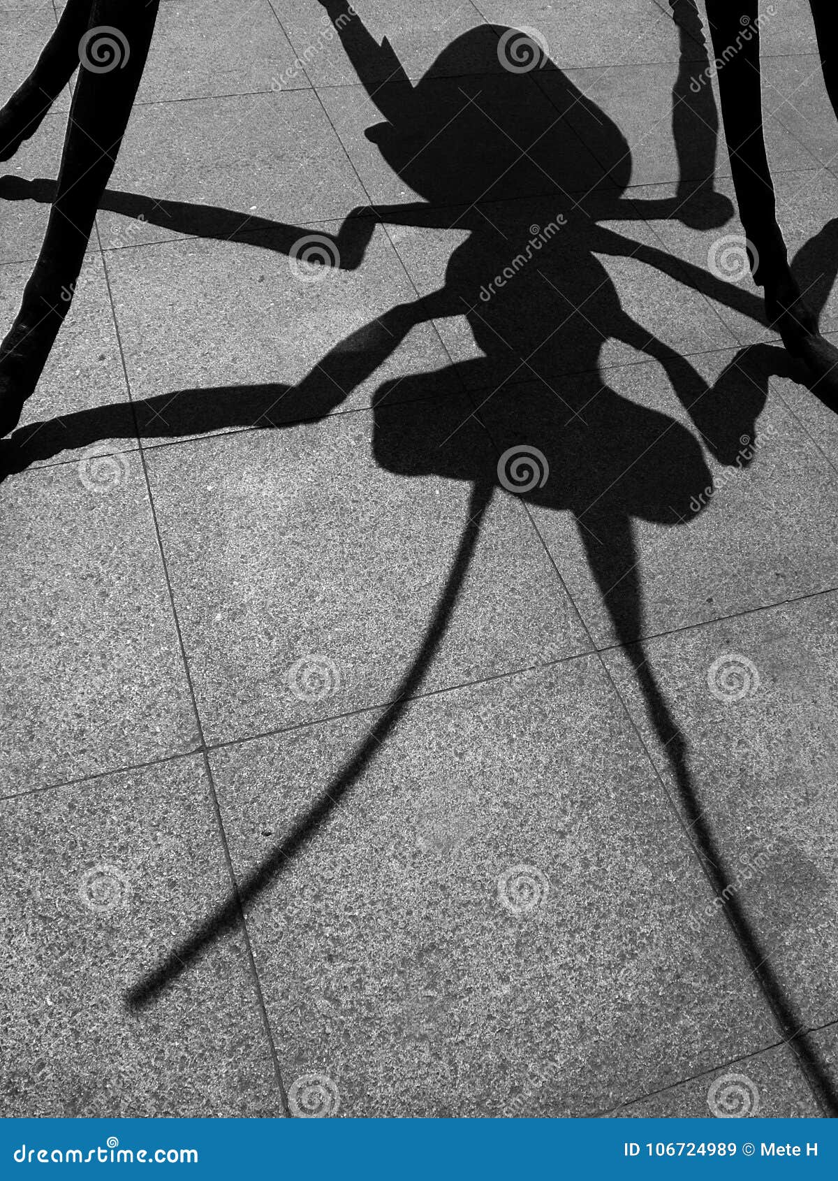 The shadow of a giant ant stock image. Image of outside - 106724989