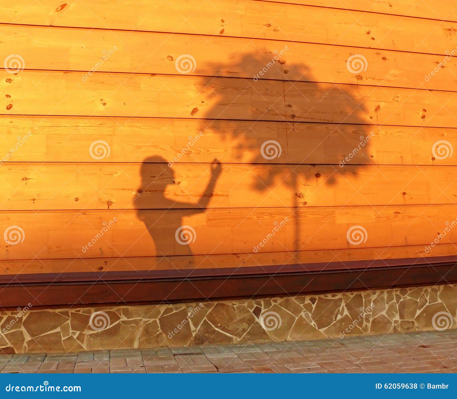 Shadow of a Girl on a Wooden Wall Stock Photo - Image of alone ...