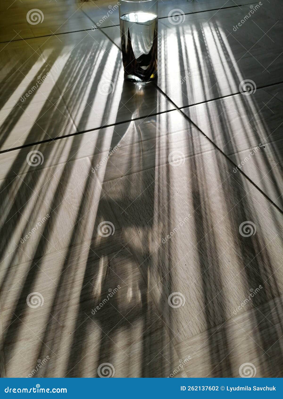 The Shadow of a Glass on the Floor Stock Photo - Image of white, glass ...