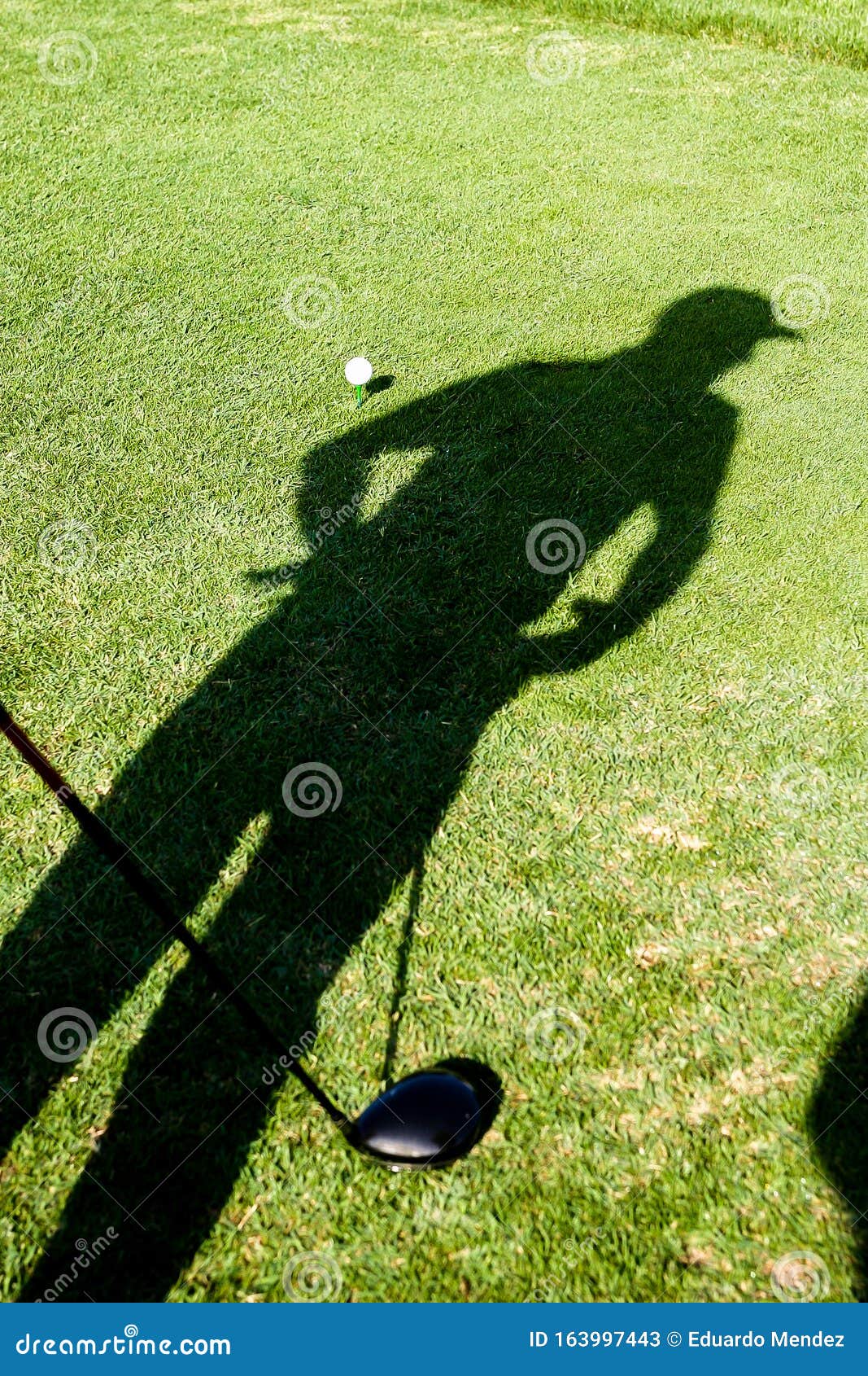 Shadow of a Golf Player on the Grass Stock Image - Image of sportsman ...
