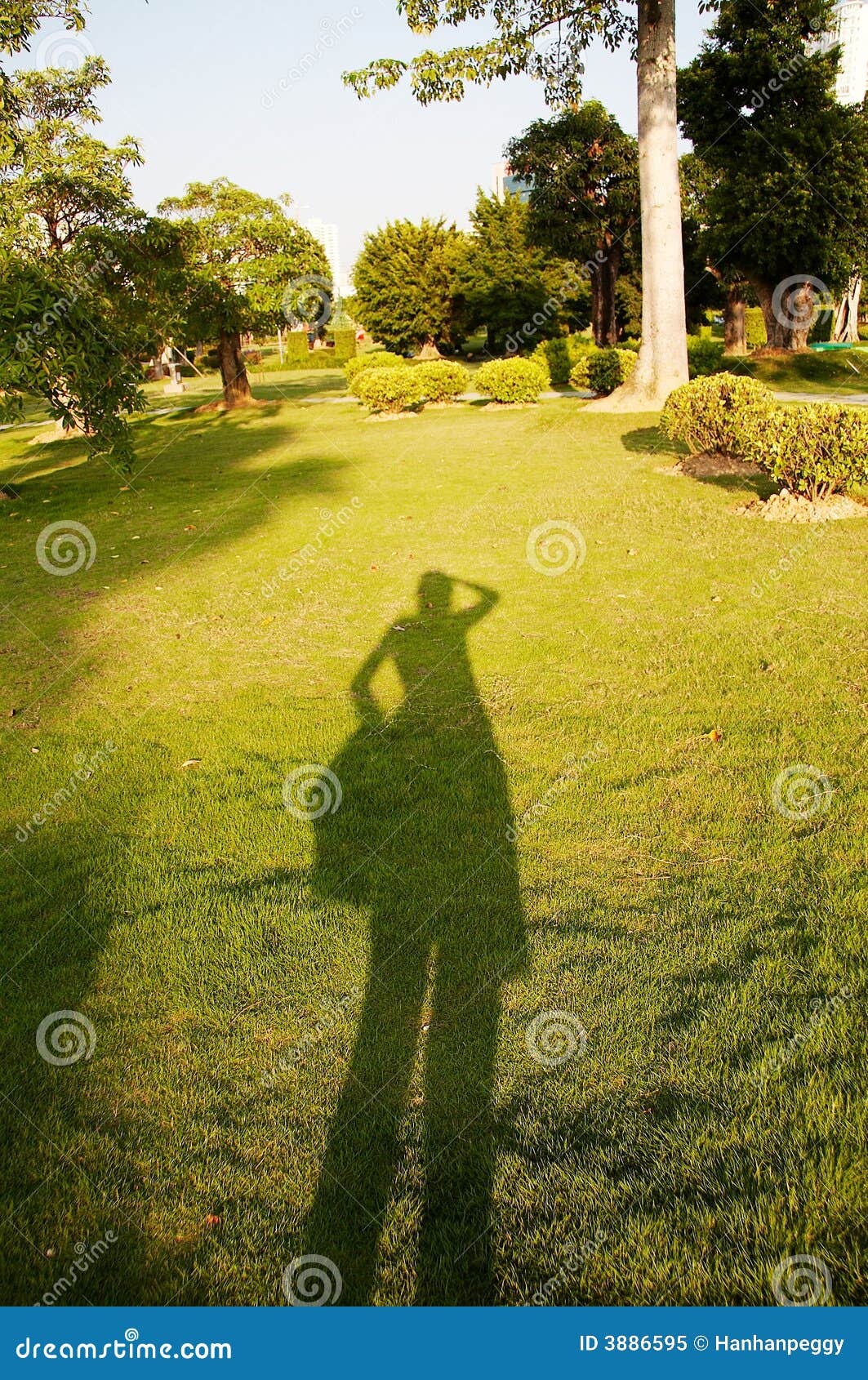 Shadow on grass field stock image. Image of lifestyle - 3886595