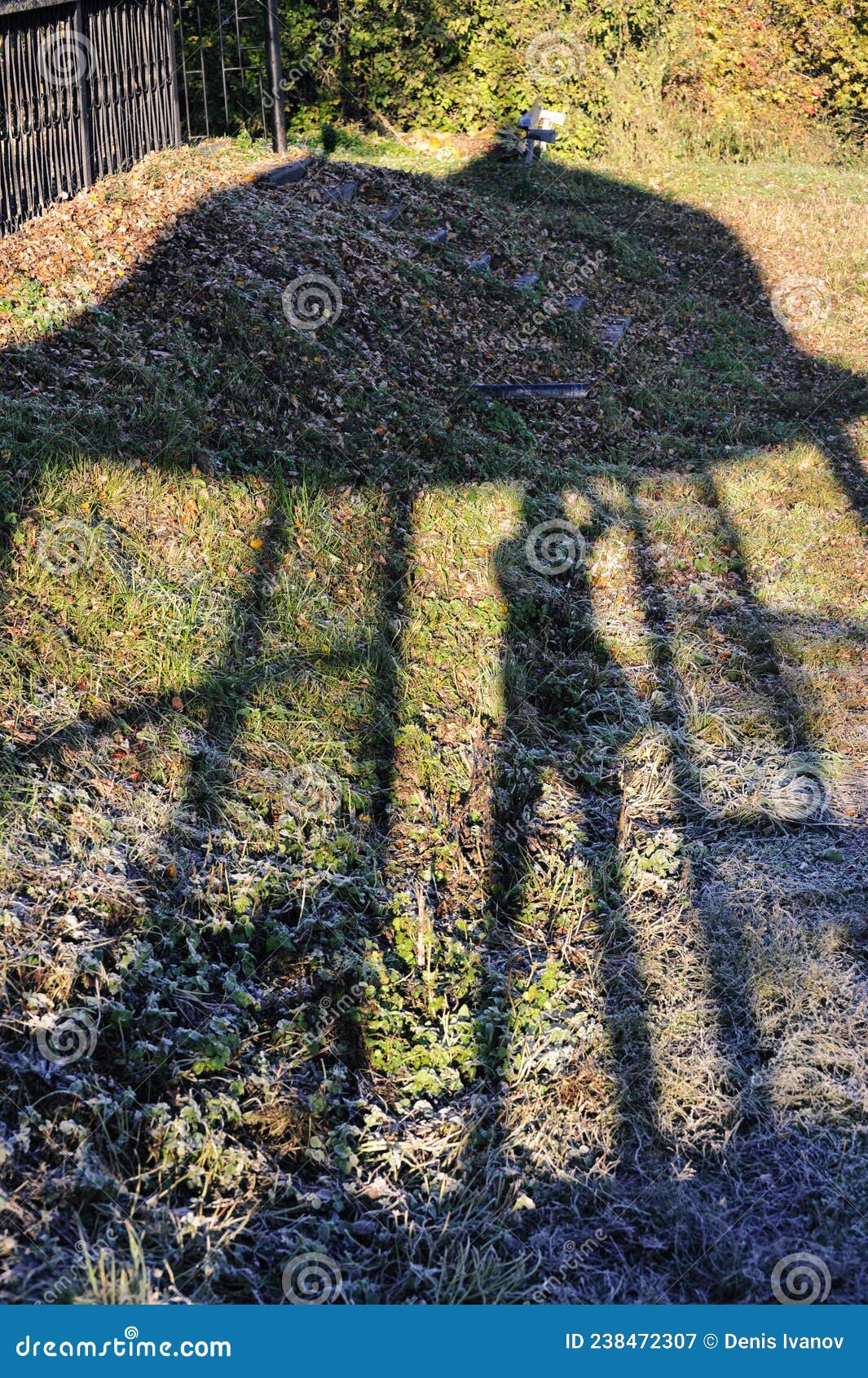 Shadow on the Grass from the Photographer Stock Image - Image of park ...