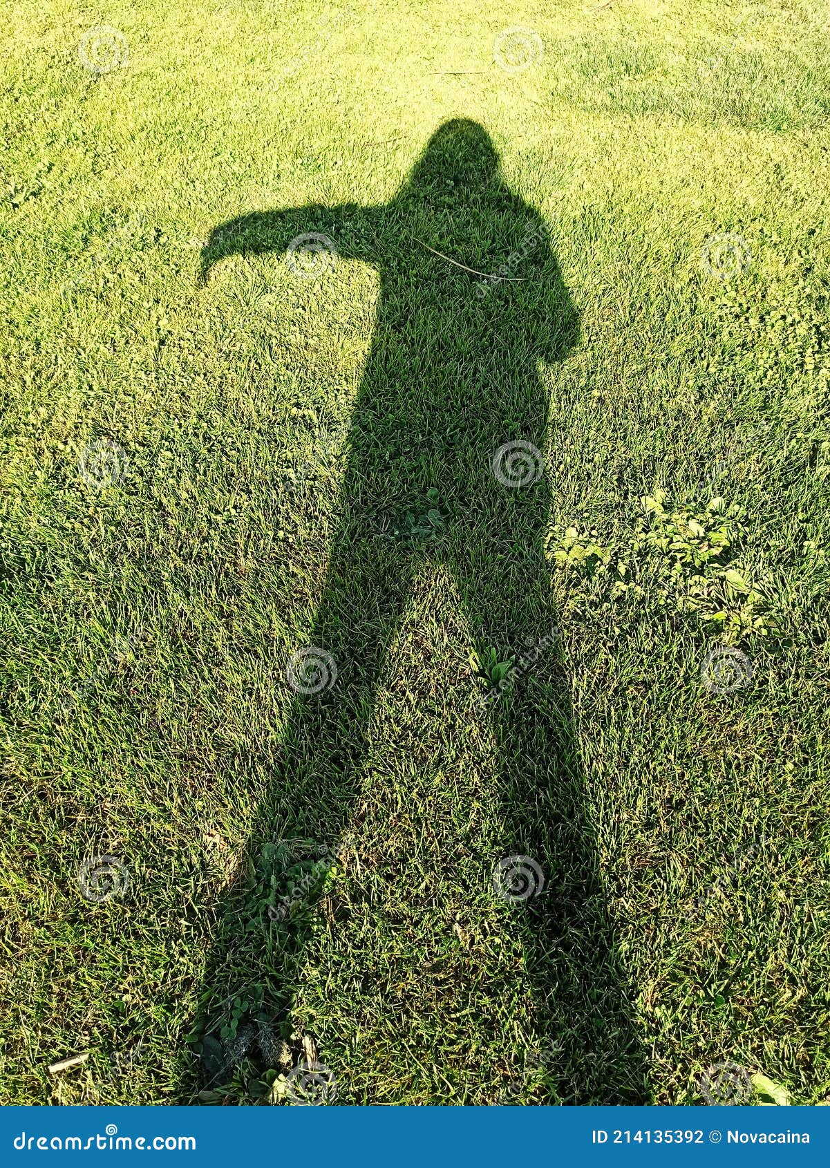 Shadow on a grass stock photo. Image of meadow, vegetation - 214135392