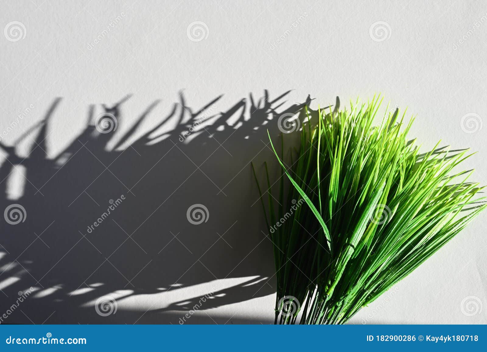 The Shadow of Green Grass. Top View of a Long Shadow Falling from Grass ...