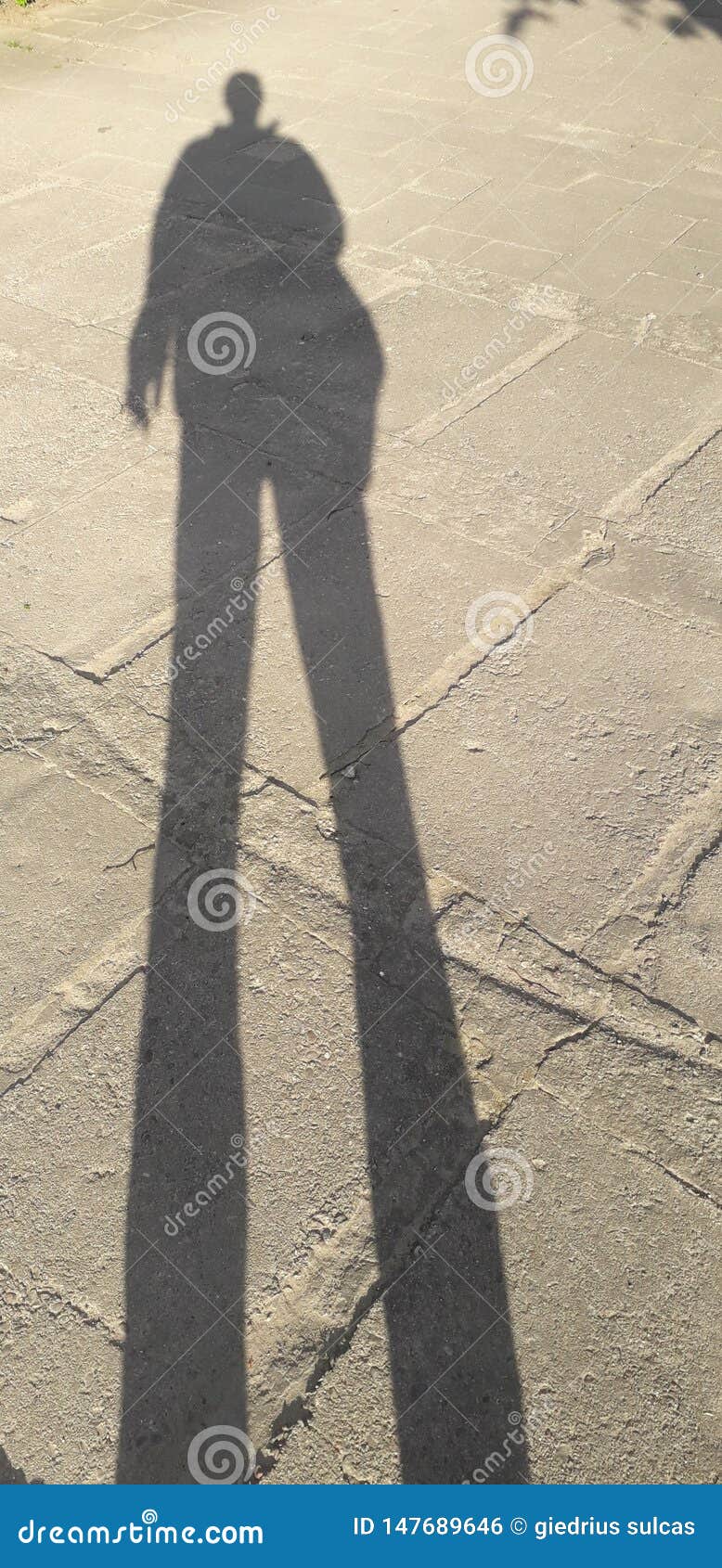 Shadow stock photo. Image of shadow, work, ground, funny - 147689646
