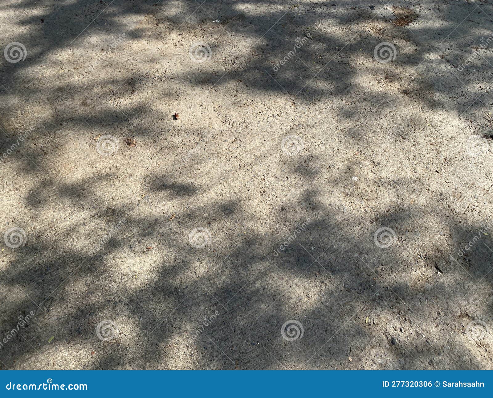 Shadow on the ground. stock photo. Image of plant, lawn - 277320306